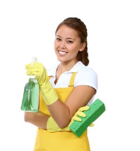 Millennium Cleaning Service - Care.com Minneapolis, MN House Cleaning ...