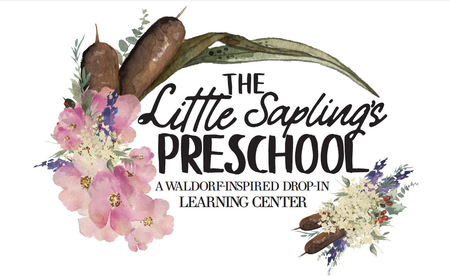 The Little Saplings Preschool - Care.com Kenmore, WA