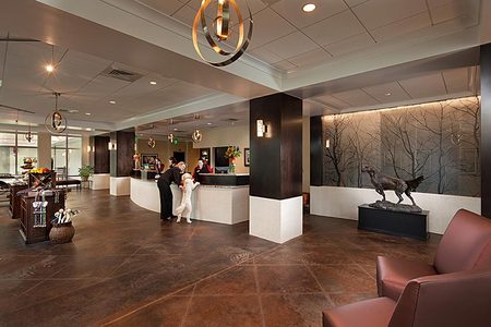 Olde Towne Pet Resort - Care.com Sterling, VA