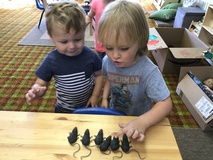Little Roses Preschool - Daycare in Crockett, CA - Care.com