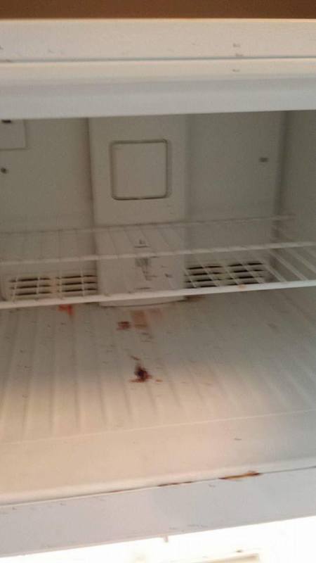 Dynamic Cleaning Solutions - Care.com Athens, GA House Cleaning Service