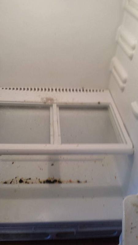 Dynamic Cleaning Solutions - Care.com Athens, GA House Cleaning Service