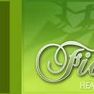 Fidelity Healthcare LLC. - Care.com Minneapolis, MN Home Care Agency