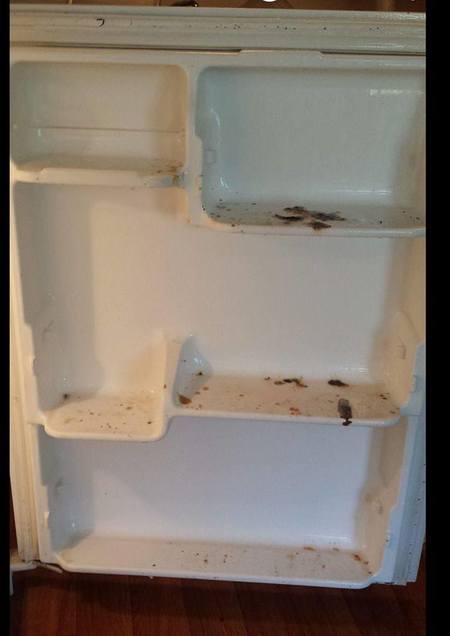 Dynamic Cleaning Solutions - Care.com Athens, GA House Cleaning Service