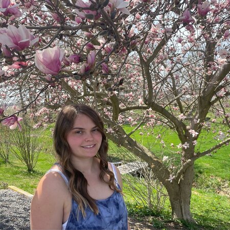 Book Services in Butler, PA with Julie